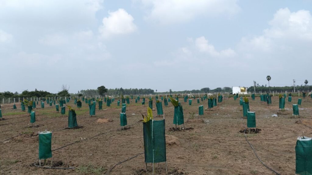 Model Farming – V2M Farming